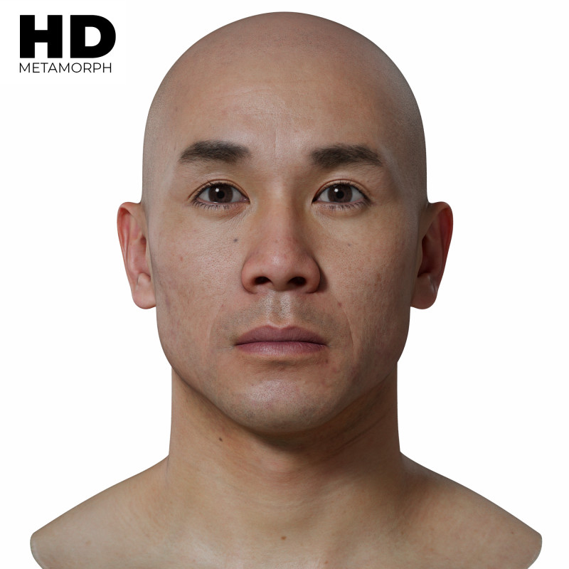 Metamorph 3d head models